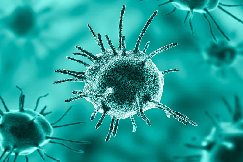 Parasites 101: How They Sneak In, How Your Body Fights Back, and Foods ...